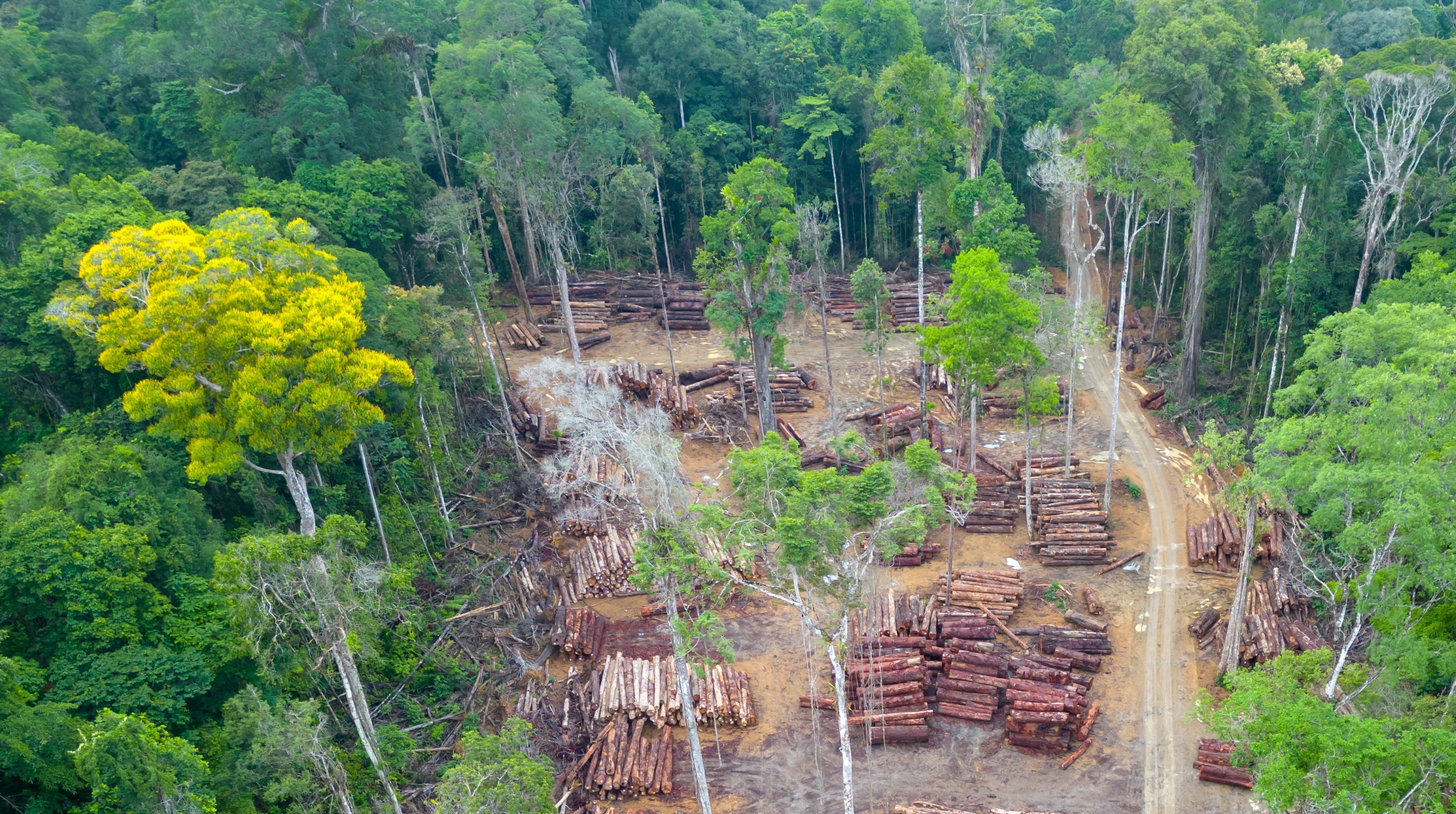 Pulitzer Center Impact | Pulitzer Center