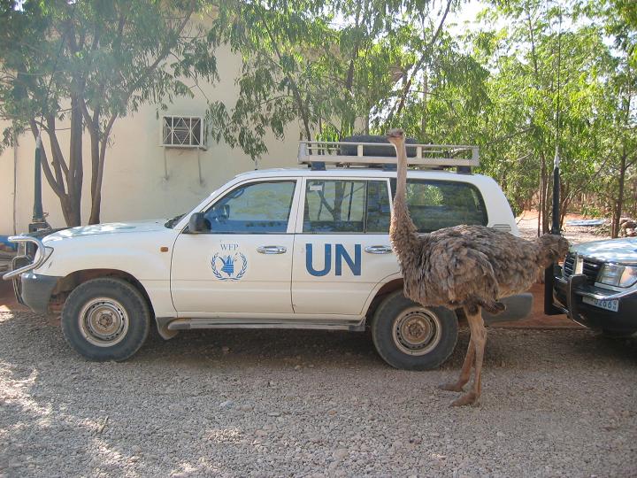 Zoe Alsop | Pulitzer Center