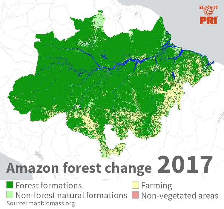 The Amazon Used to be a Hedge Against Climate Change. Those Days May Be ...