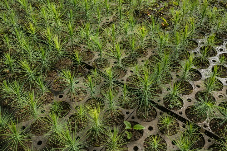 How Climate Change Is Fueling the U.S. Border Crisis | Pulitzer Center