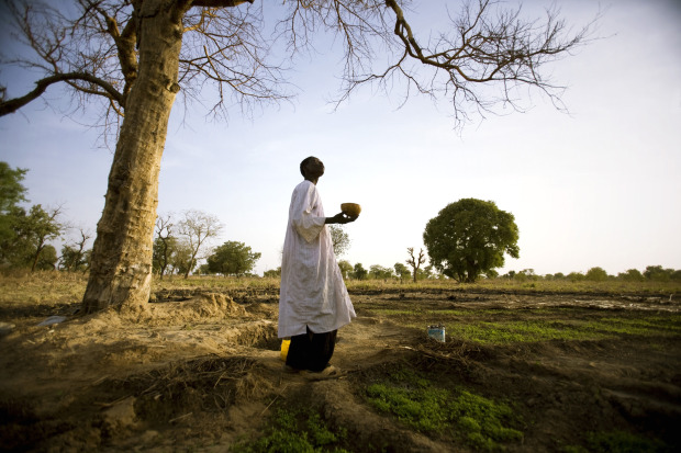 Survey Charts Darfur Opinion for First Time | Pulitzer Center