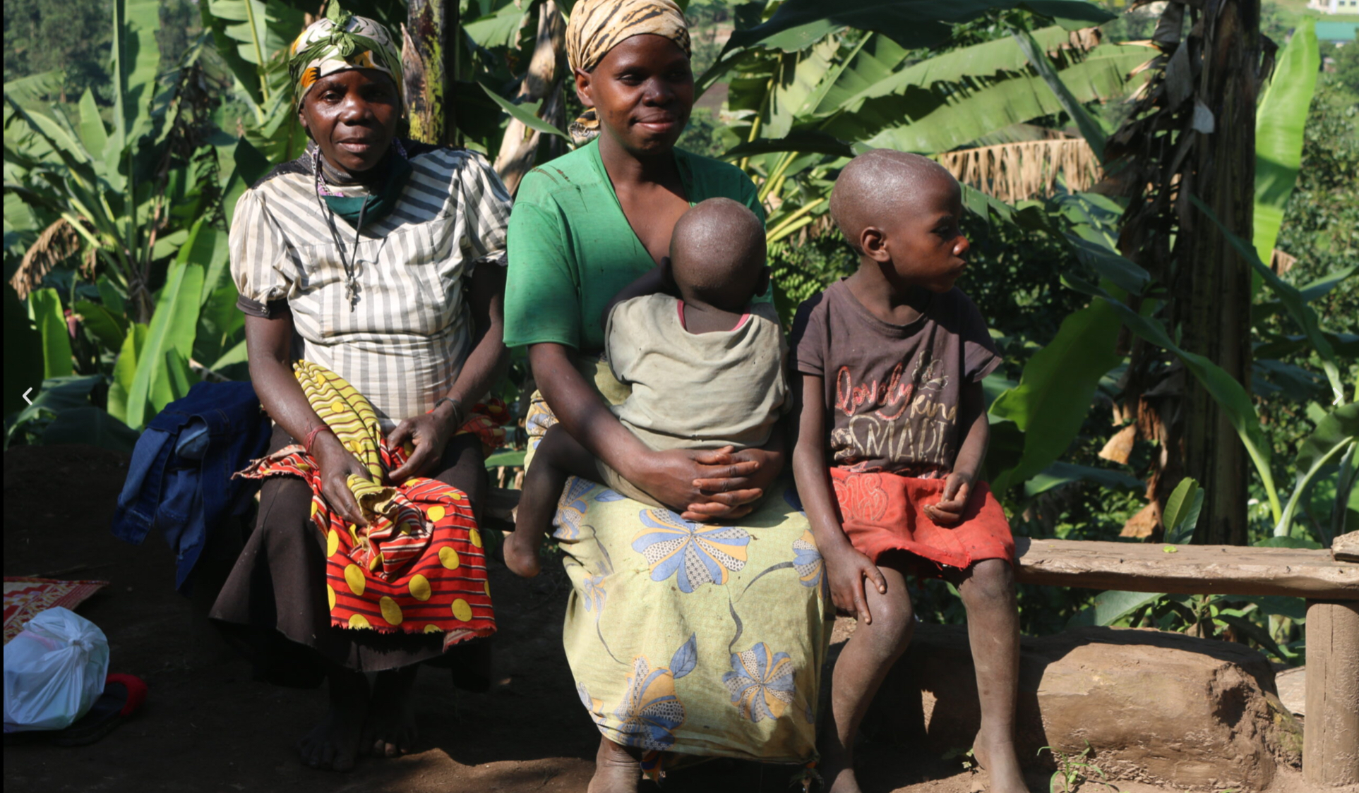 Investigating and Mapping the Role of Indigenous People in the ...