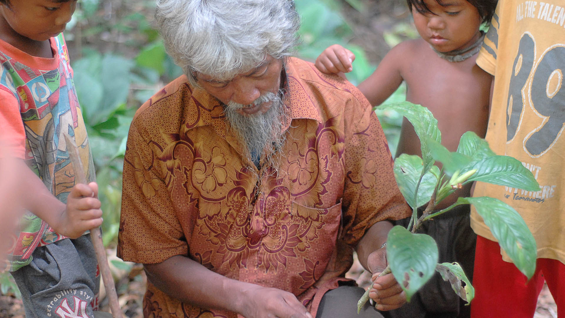 Orang Rimba, Guardians of Bukit Duabelas | Pulitzer Center