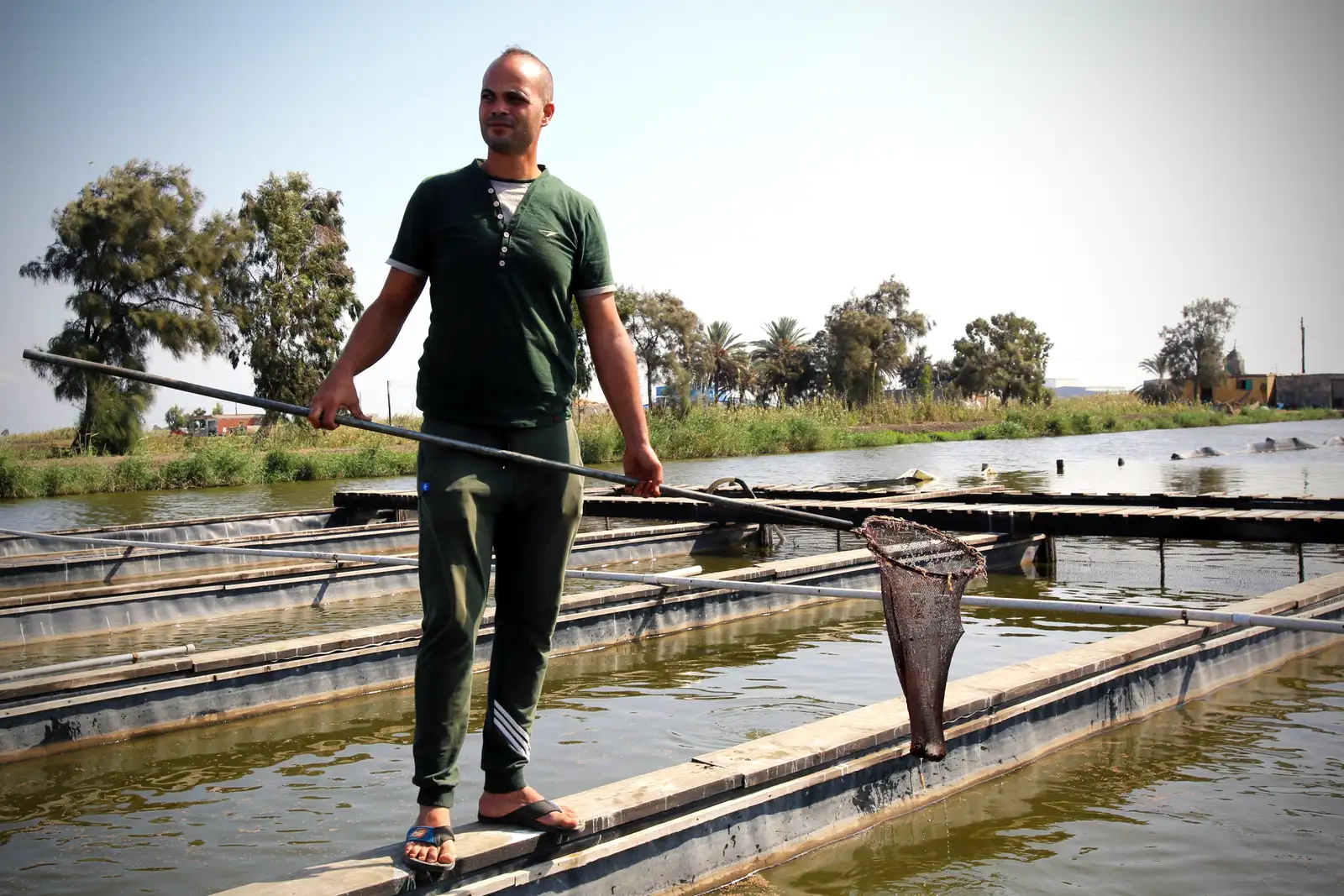 How Egypt's Nile Delta Is Surviving Climate Change | Pulitzer Center
