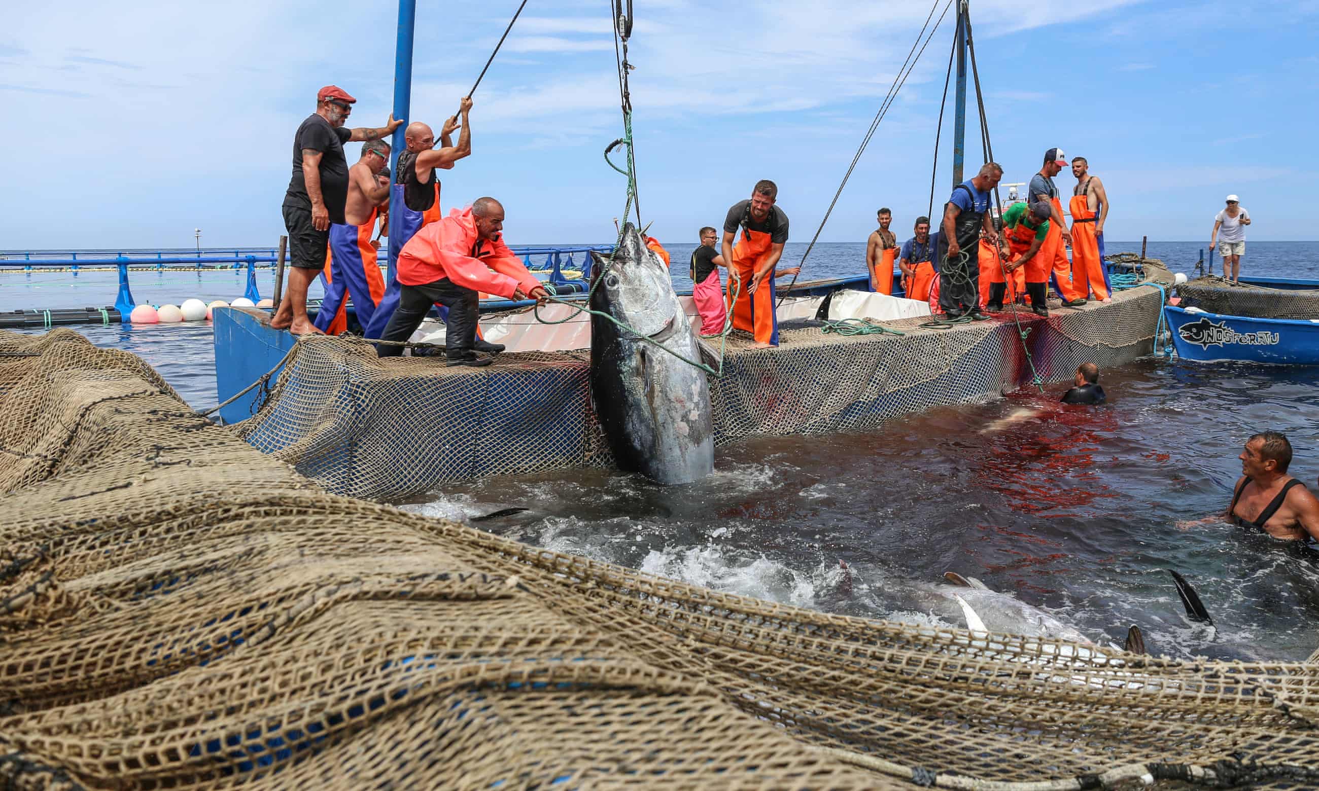 How Europe’s Tuna Quotas Destroyed Italy’s Small Fishing Communities ...