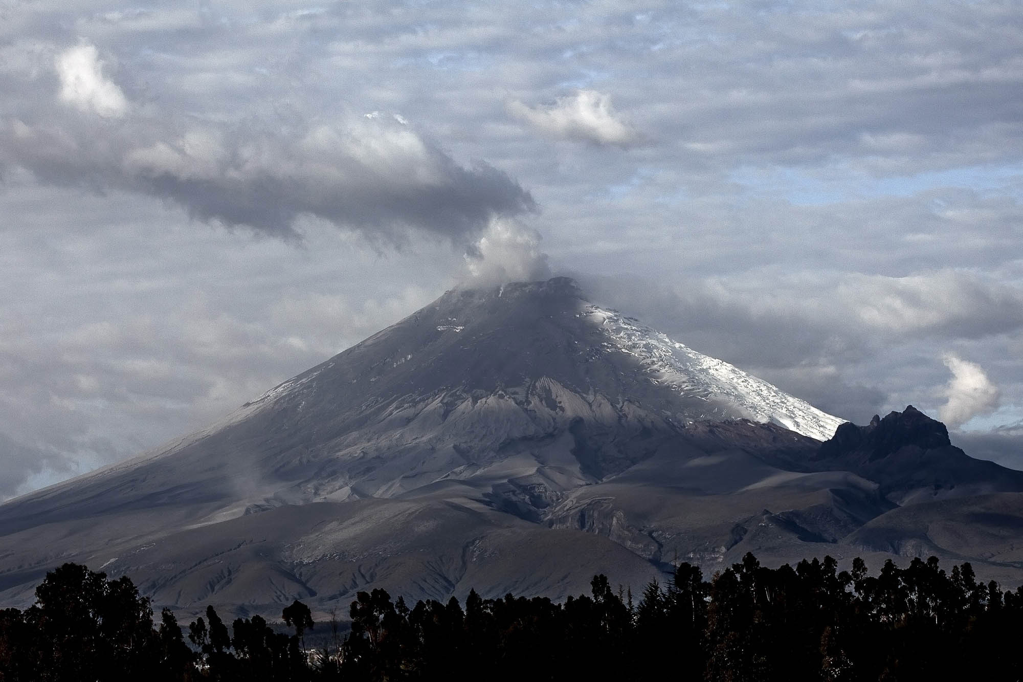 Reporting Fellow Stories and Projects | Pulitzer Center