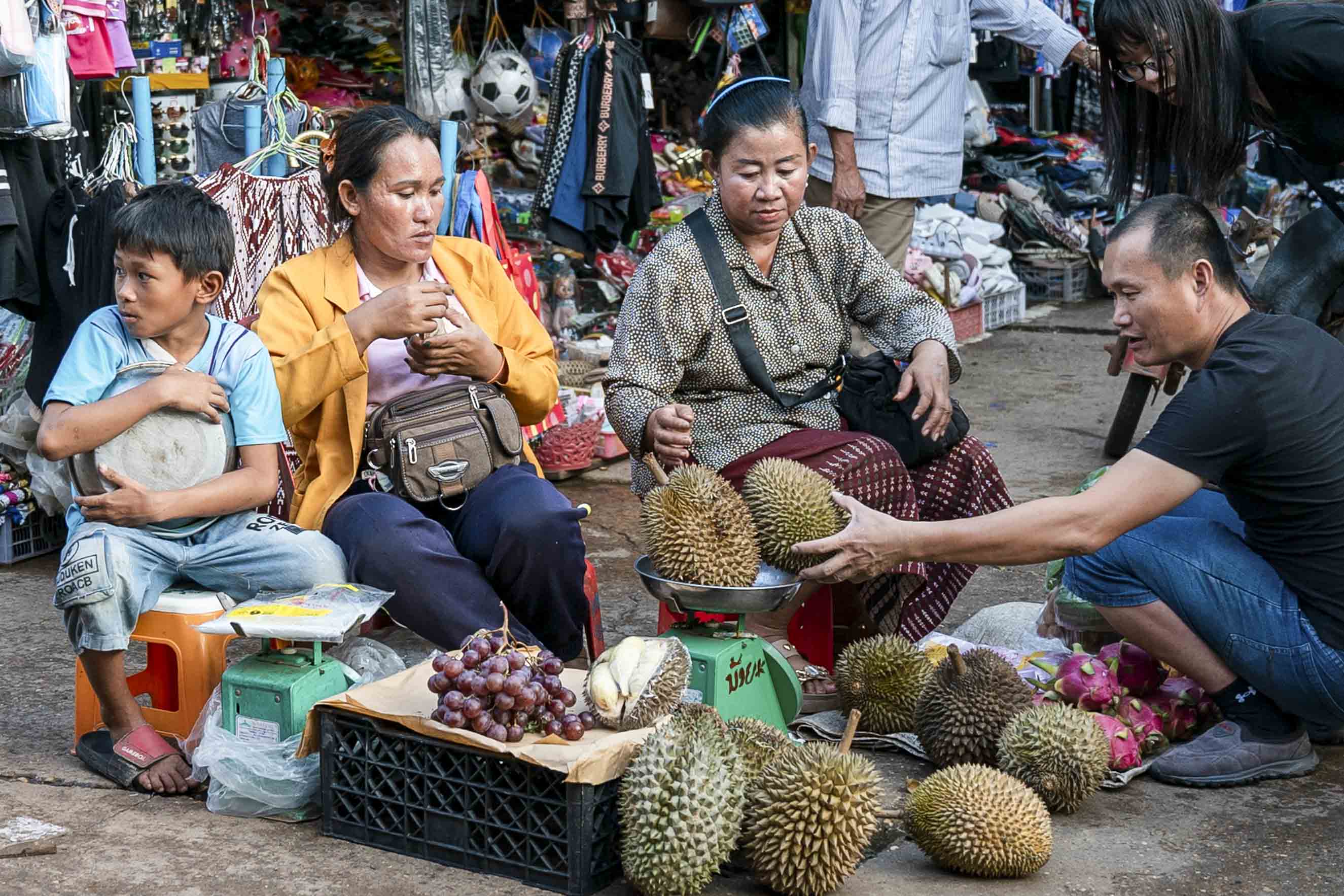 China's Billion-Dollar Craze for Durian Is Transforming Laos Forests ...