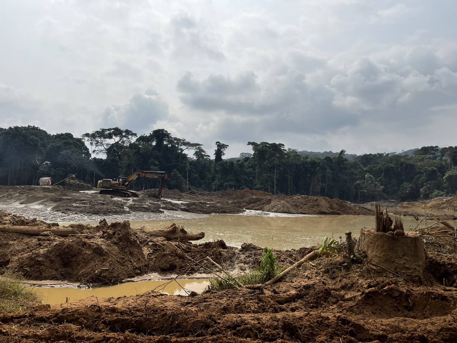 The Sangha and Likouala Forest: Between Carbon Credits and Illegal Gold ...