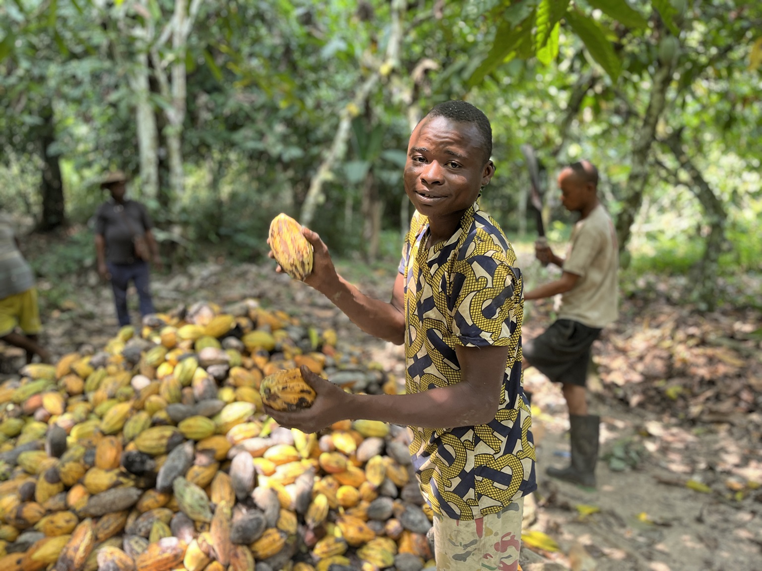 Mineral Exploitation Overshadows Green Diplomacy in Congo’s Sangha ...