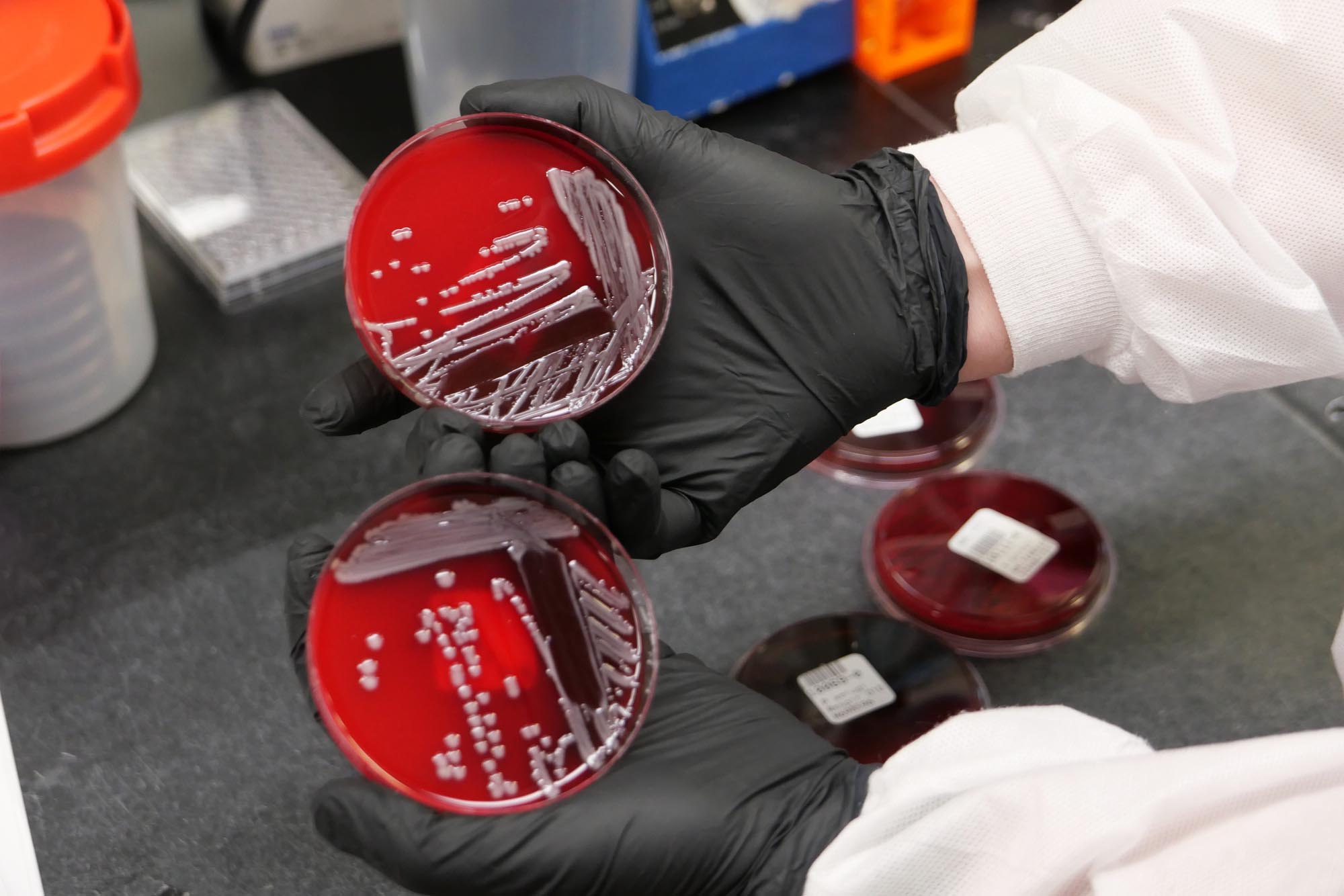 Susan Ferriss | Pulitzer Center