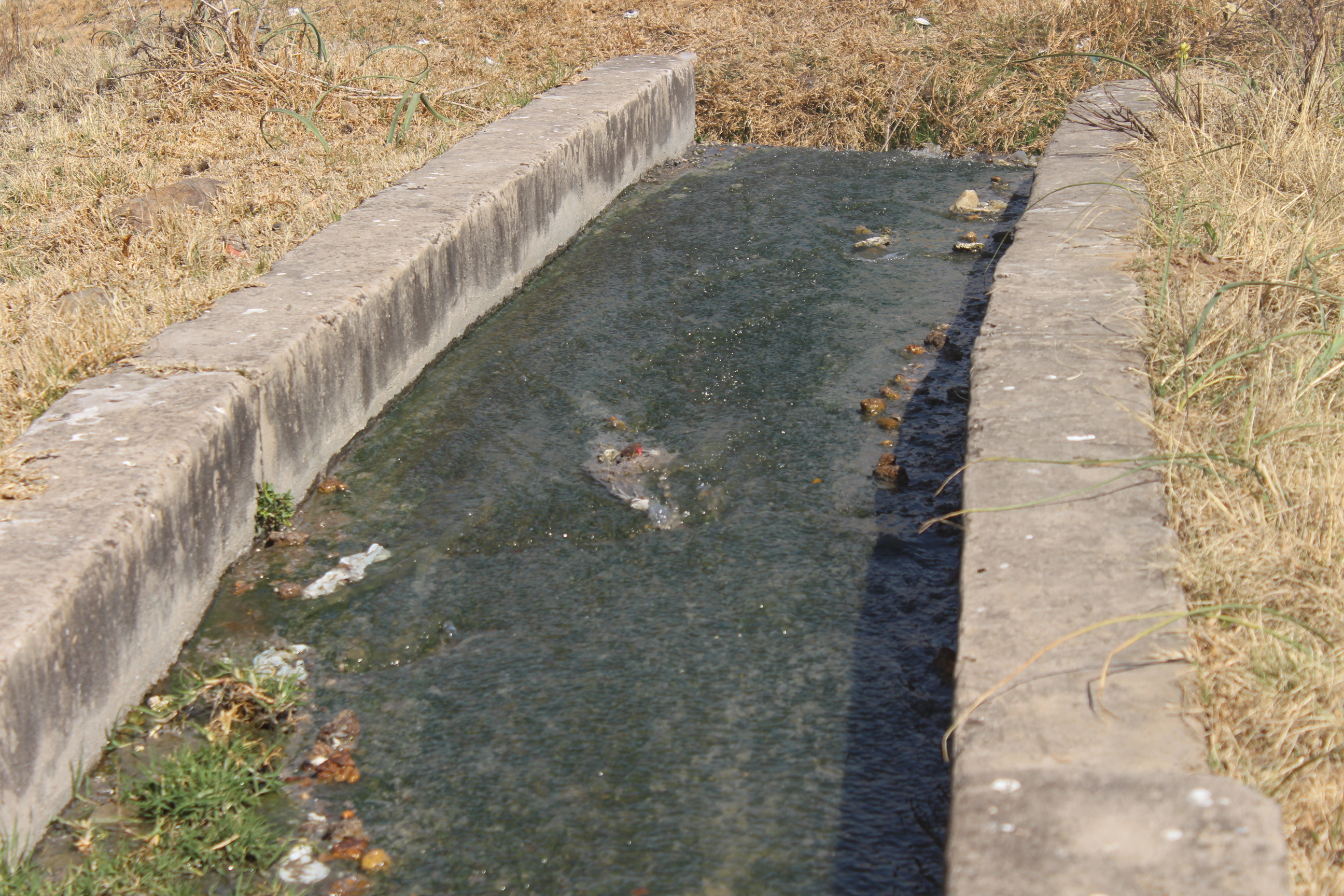 How First World Consumer Choices Dirty the Environment | Pulitzer Center