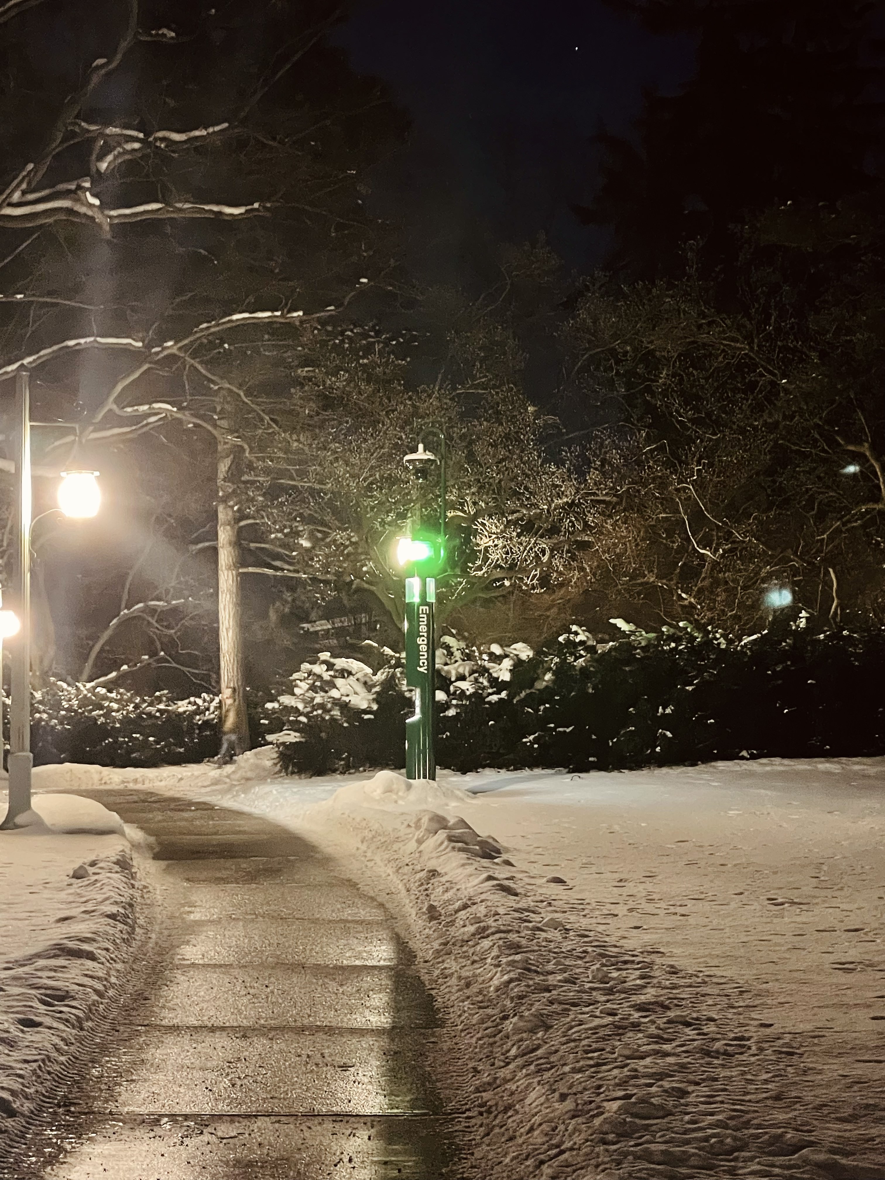 William & Mary Sharp Seminar 2024-2025 | Pulitzer Center