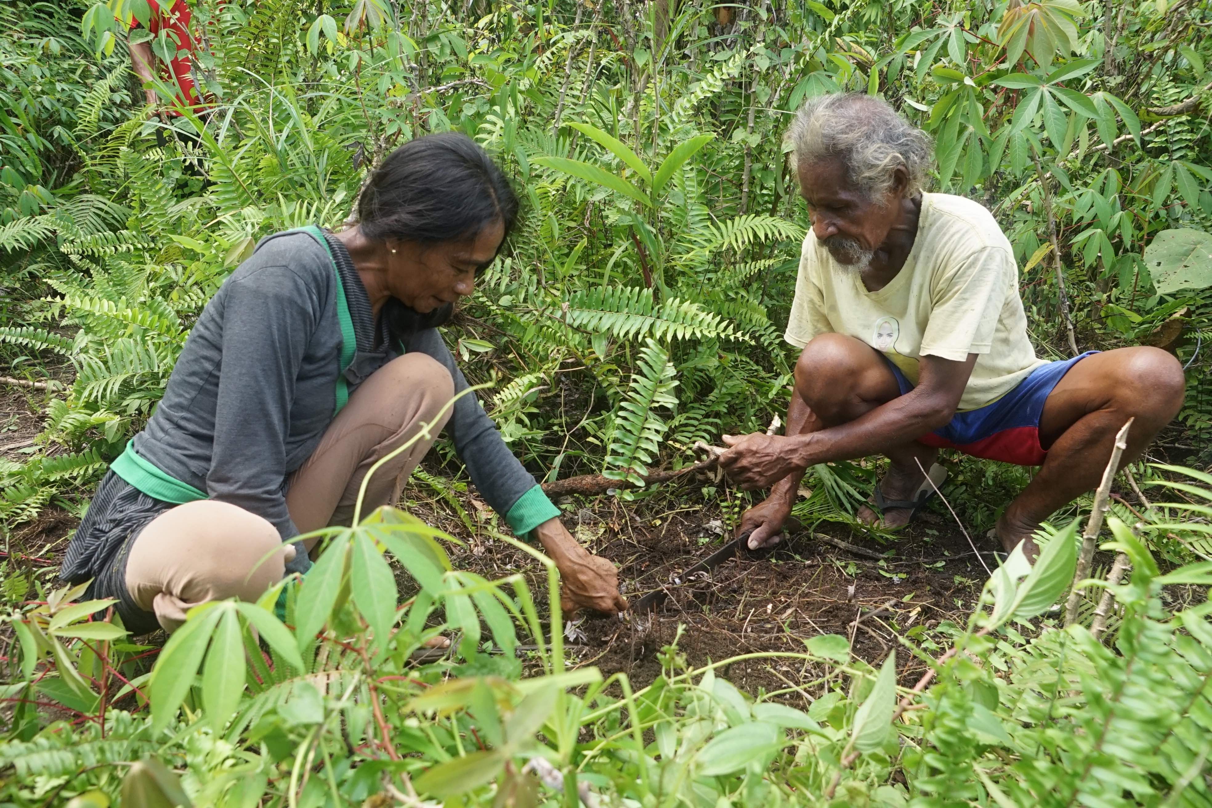 The Removal of the O’Hongana Manyawa Tribe in Halmahera | Pulitzer Center