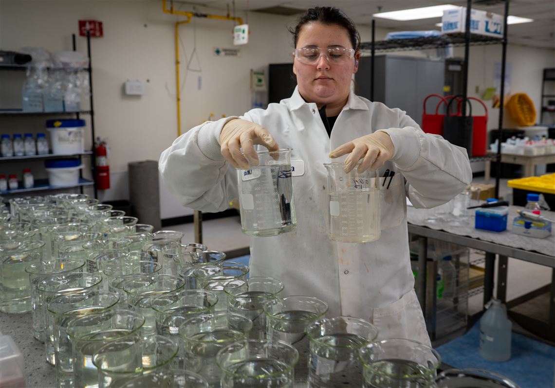 Pulitzer Center Impact | Pulitzer Center