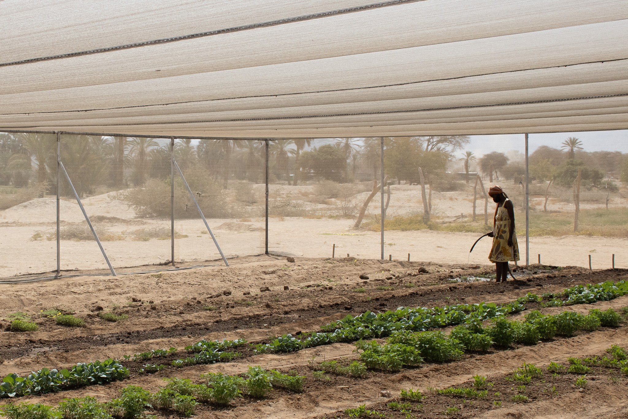 Mandile Mpofu | Pulitzer Center