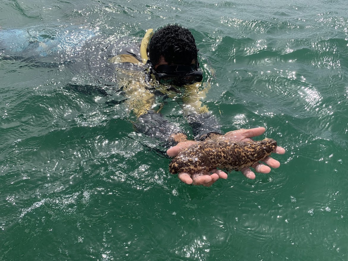 Even Tareck El Aissami’s Brother-in-Law Had Something To Do With the ...