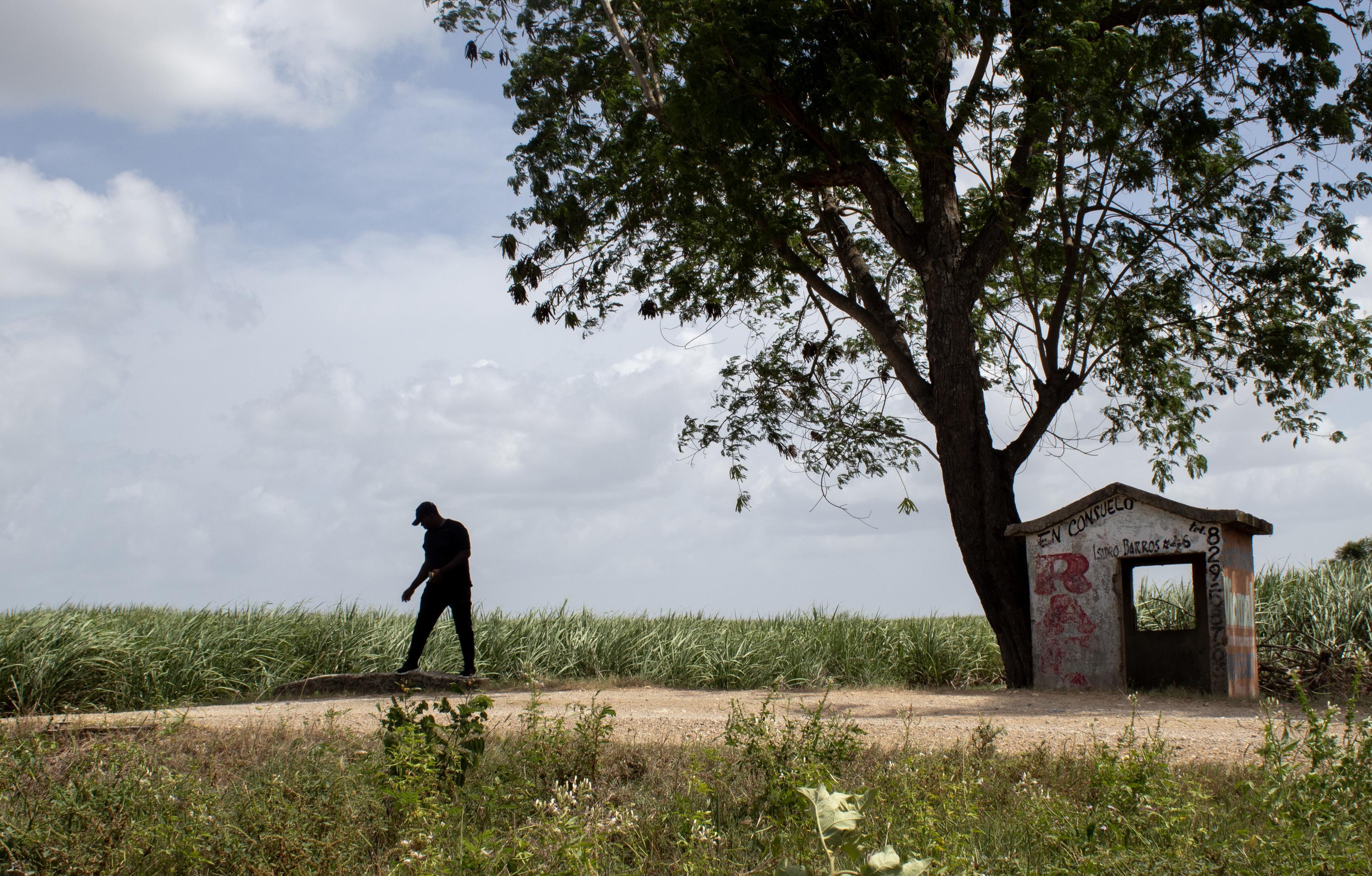 'They Grabbed Us Like Dogs': Deportation Quotas Tear Haitian Migrants ...
