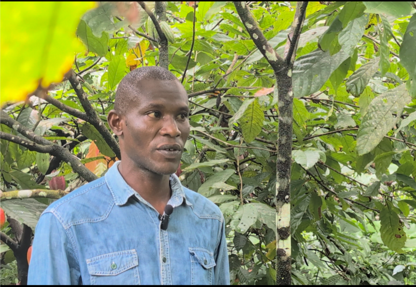 Age of Cocoa: Inequality in West Africa’s Chocolate Factory | Pulitzer ...
