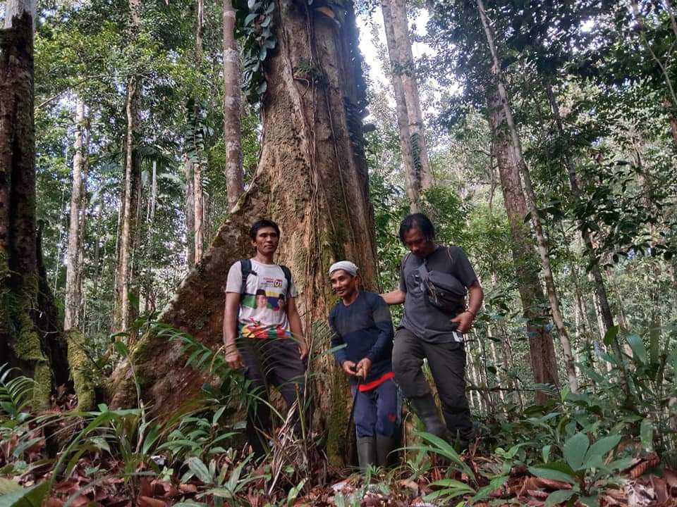 The Threat to Four Endemic Primates and the Biodiversity of Sipora ...