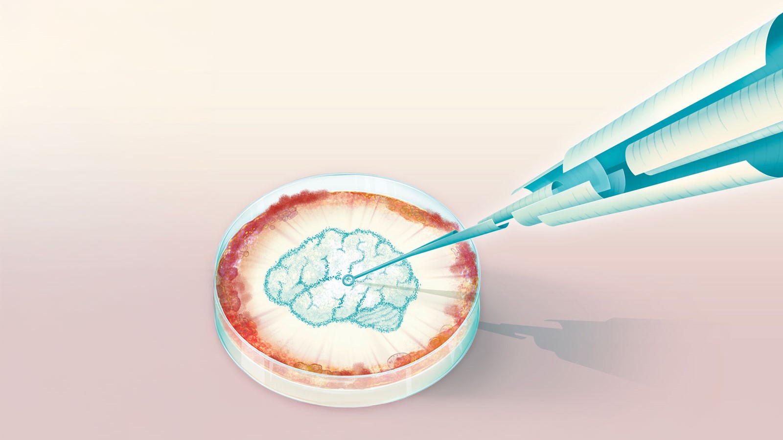 Science of Misinformation | Pulitzer Center