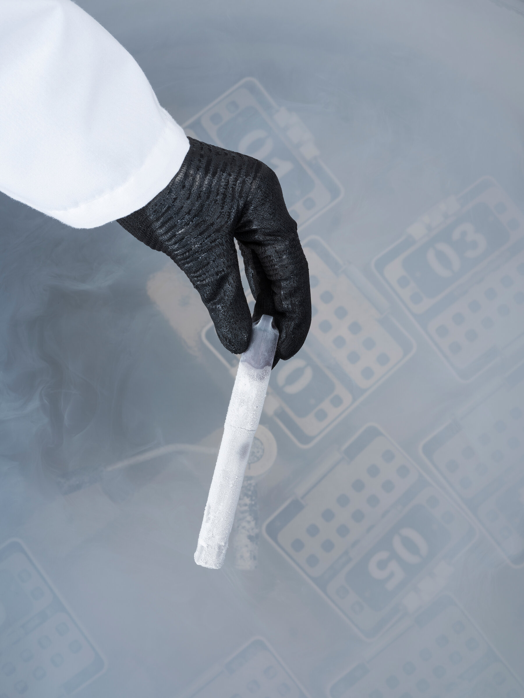 Anna Louie Sussman | Pulitzer Center