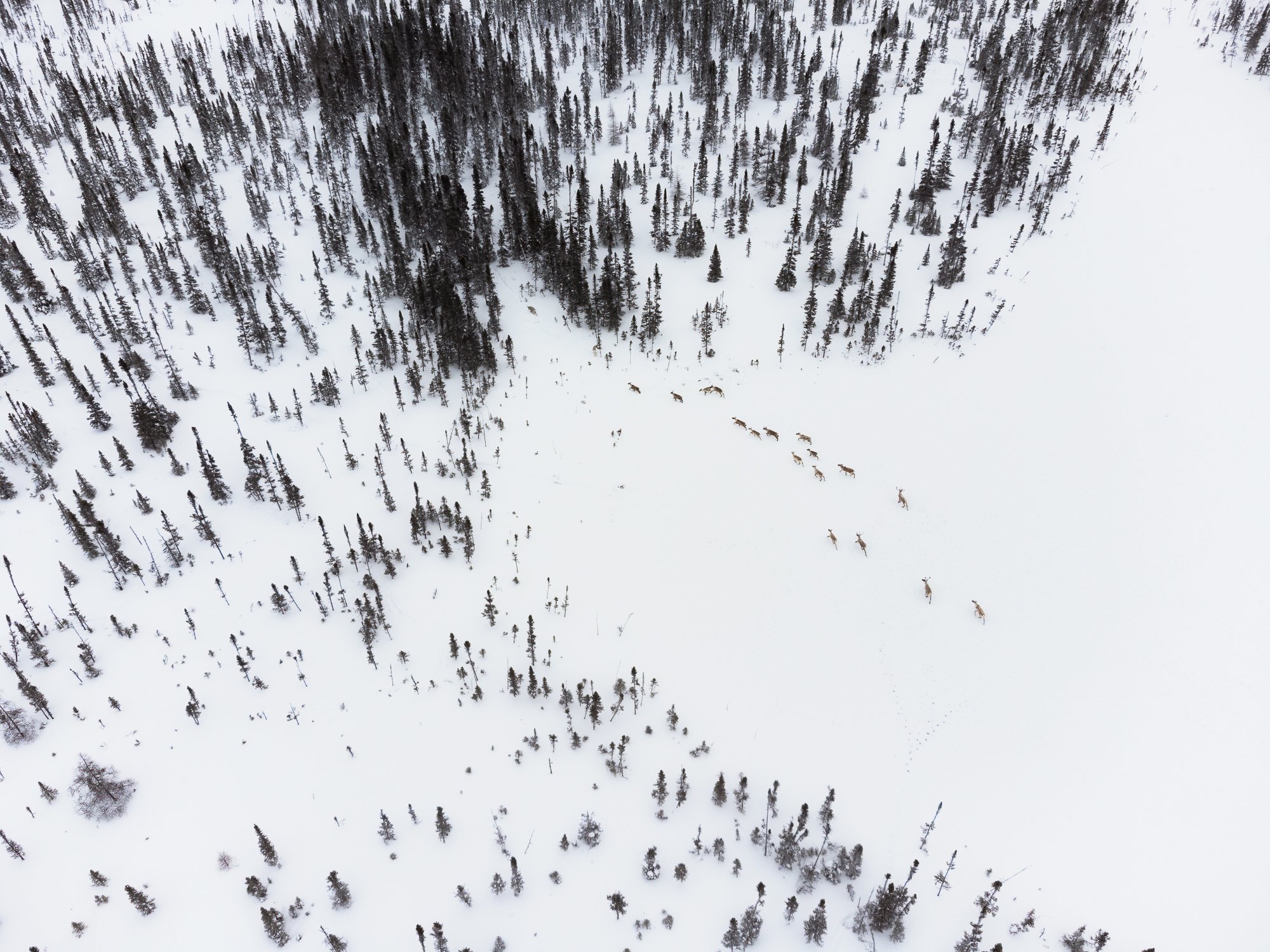 Canada Geographic | Pulitzer Center