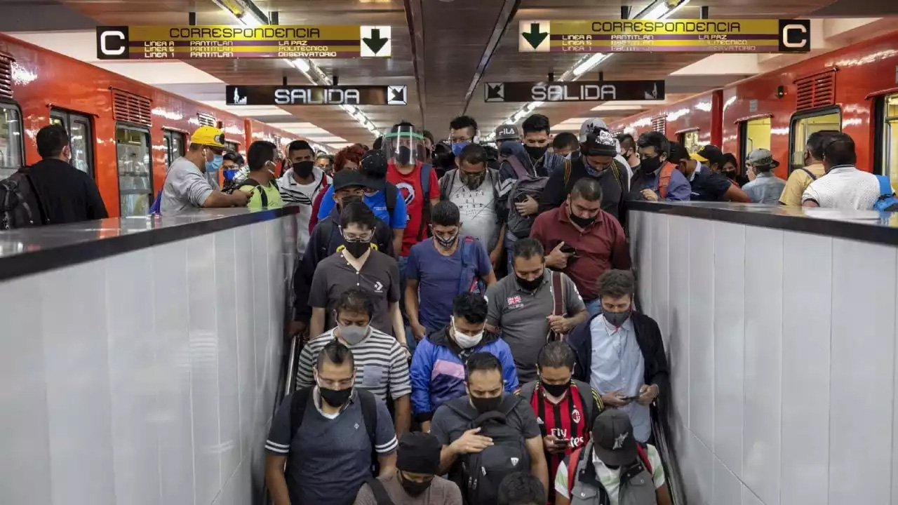 Alice Pipitone de la Roche | Pulitzer Center