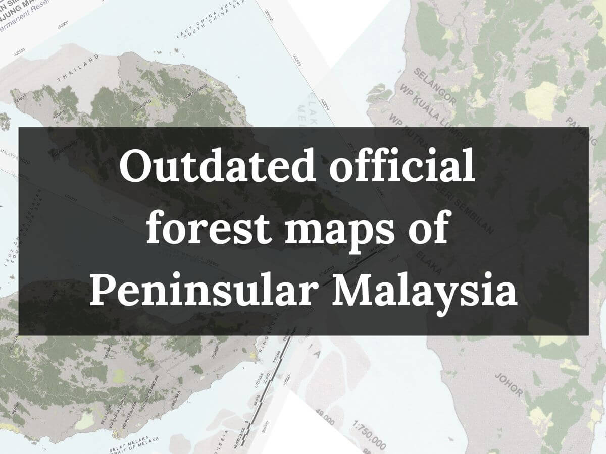 Navigating the Multiverse of Forest Data | Pulitzer Center