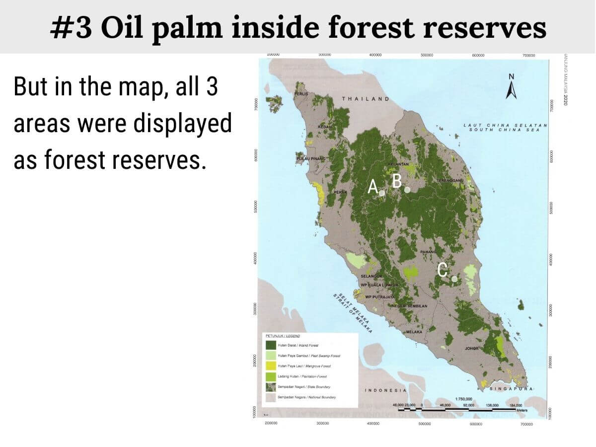 Navigating the Multiverse of Forest Data | Pulitzer Center