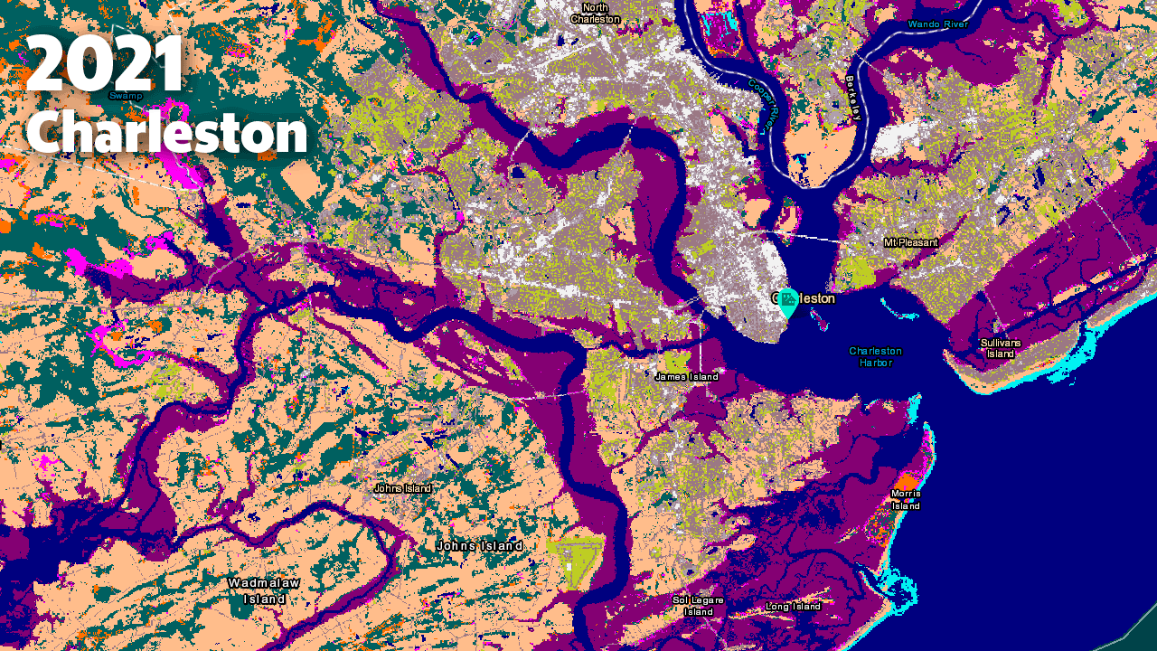 Coastal Development Boom Endangers Salt Marshes, a Resource Vital to ...