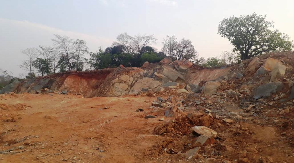 Save The Sarnas | Pulitzer Center