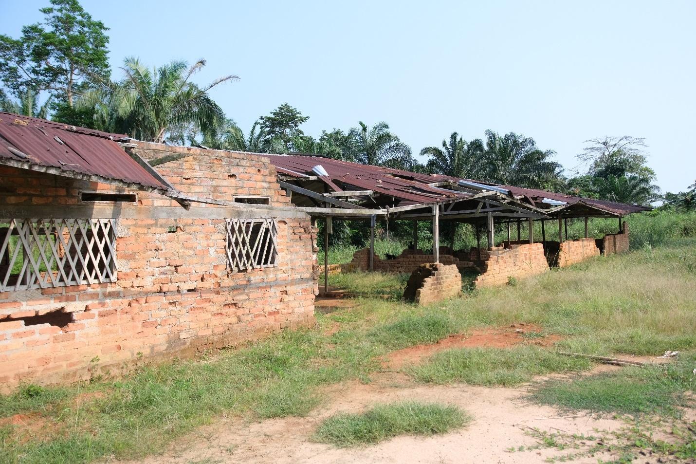 How Corruption in DRC Congo Undermines Global Climate Goals | Pulitzer ...