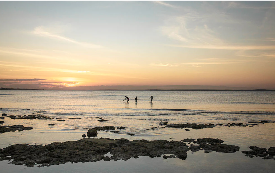 The Fight For Cabo Delgado: A Hidden War Over Mozambique’s Natural ...