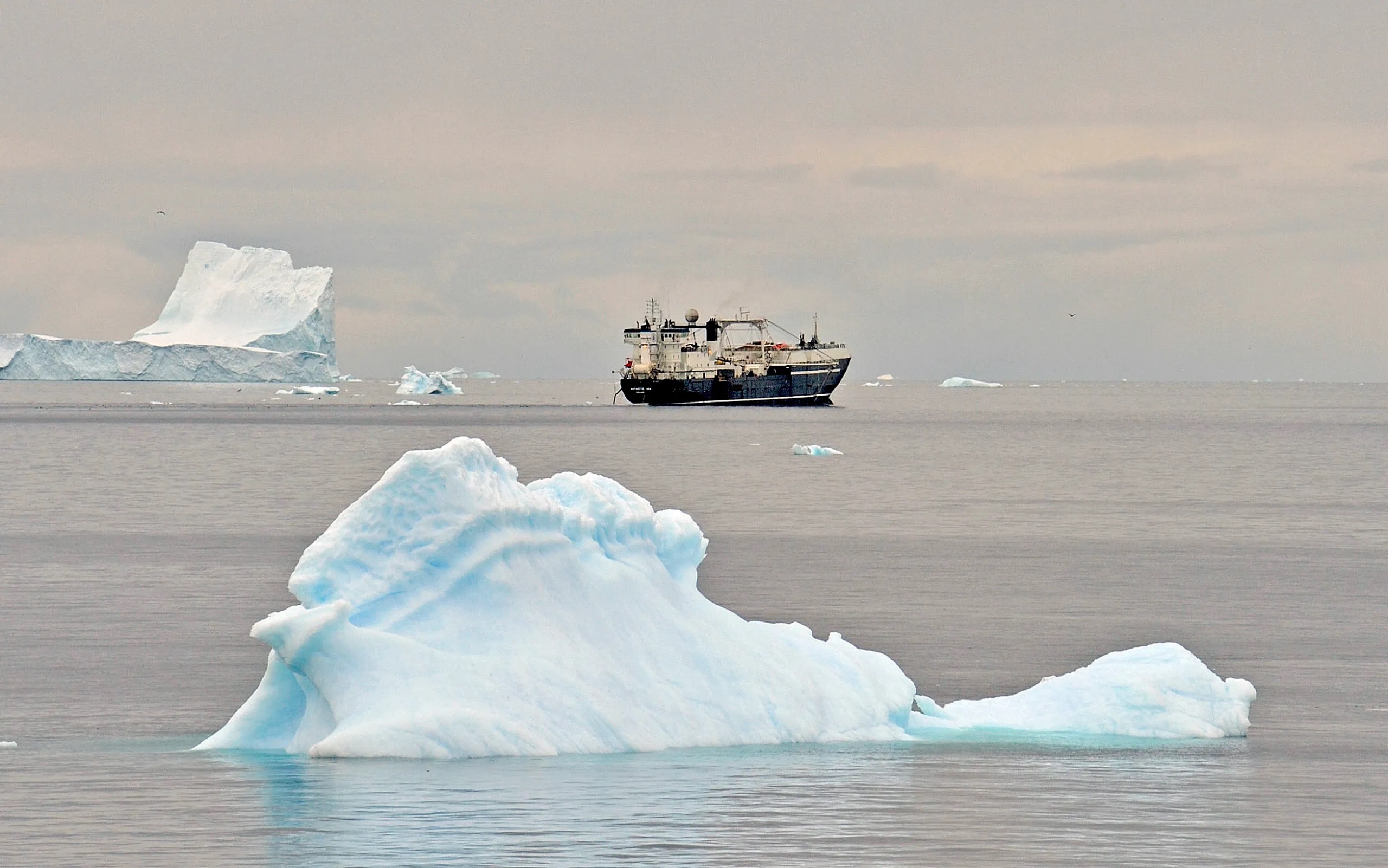 How International Politics Affects Antarctic Krill Shrimp (Korean ...