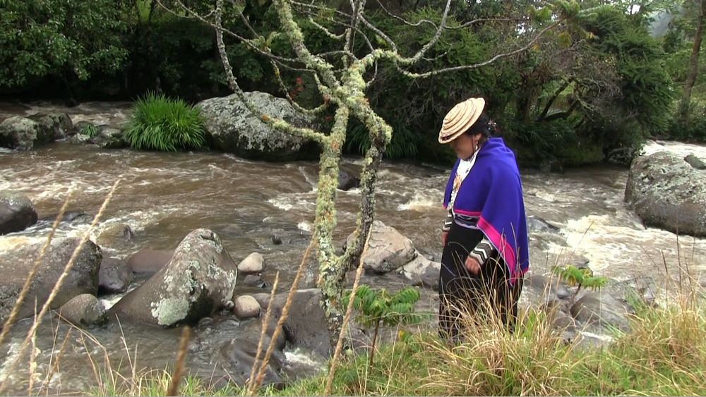 The Misaks: Balance and Harmony as Medicine | Pulitzer Center