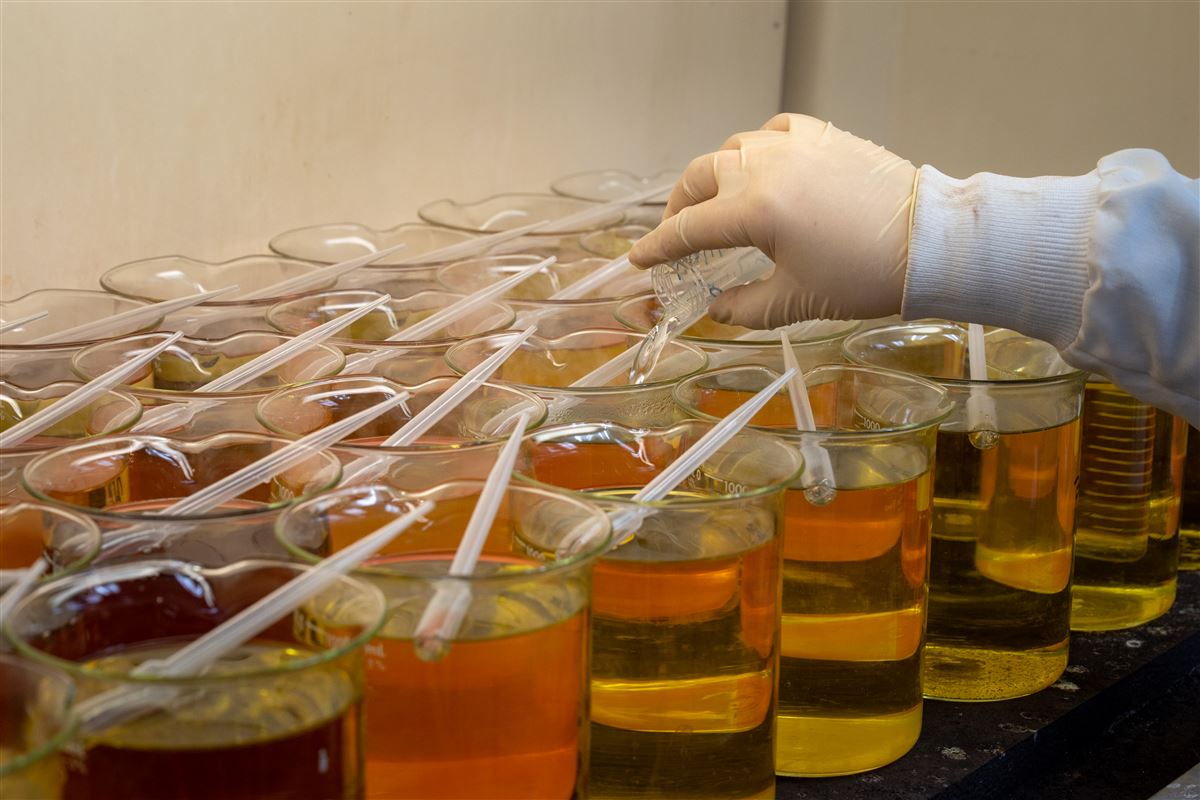 Legacy of Luckey: The Story Behind the Story | Pulitzer Center