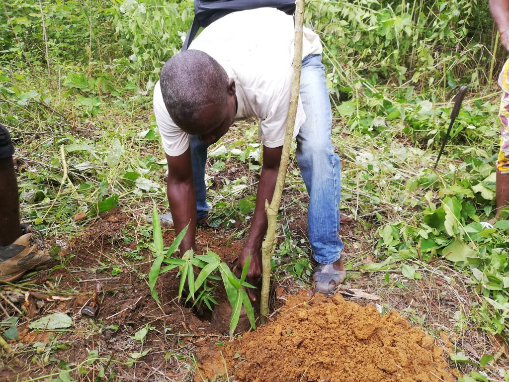 Gibrile Kenfack Tsabdo | Pulitzer Center