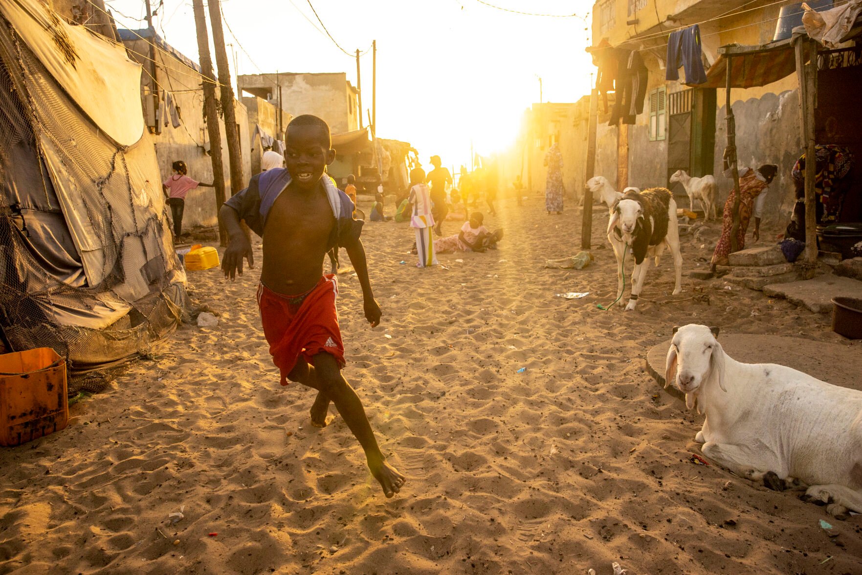 The Saharan Connection and Lessons From Senegal | Pulitzer Center