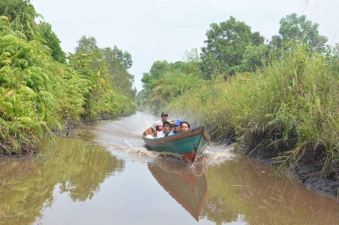 Is Social Forestry a Solution for Forest Conservation? | Pulitzer Center