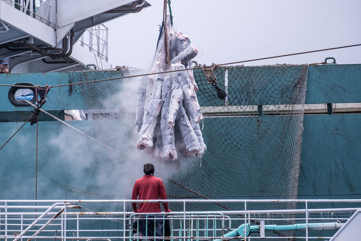 News and Updates From the Pulitzer Center | Pulitzer Center