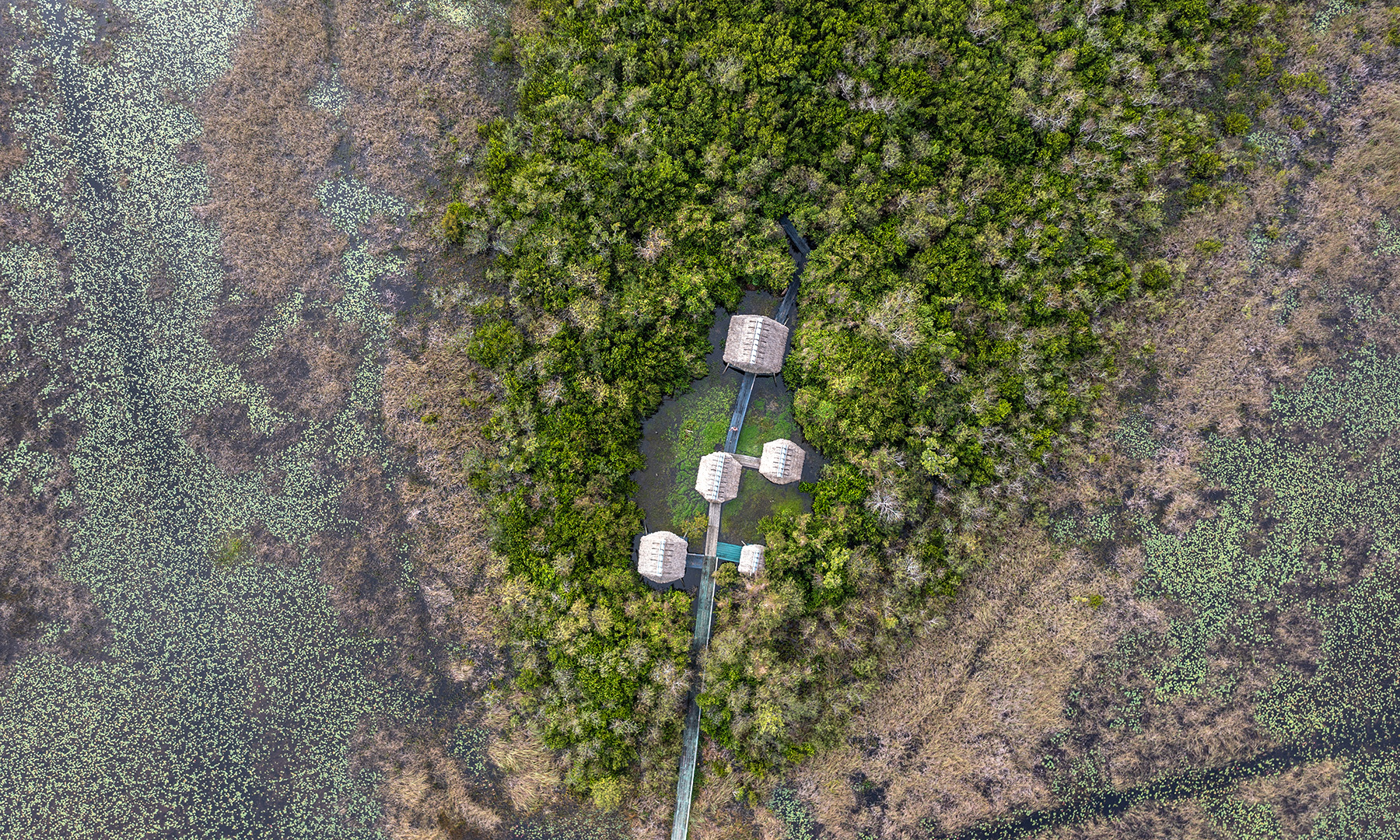 'Bright Lit Place' | Pulitzer Center