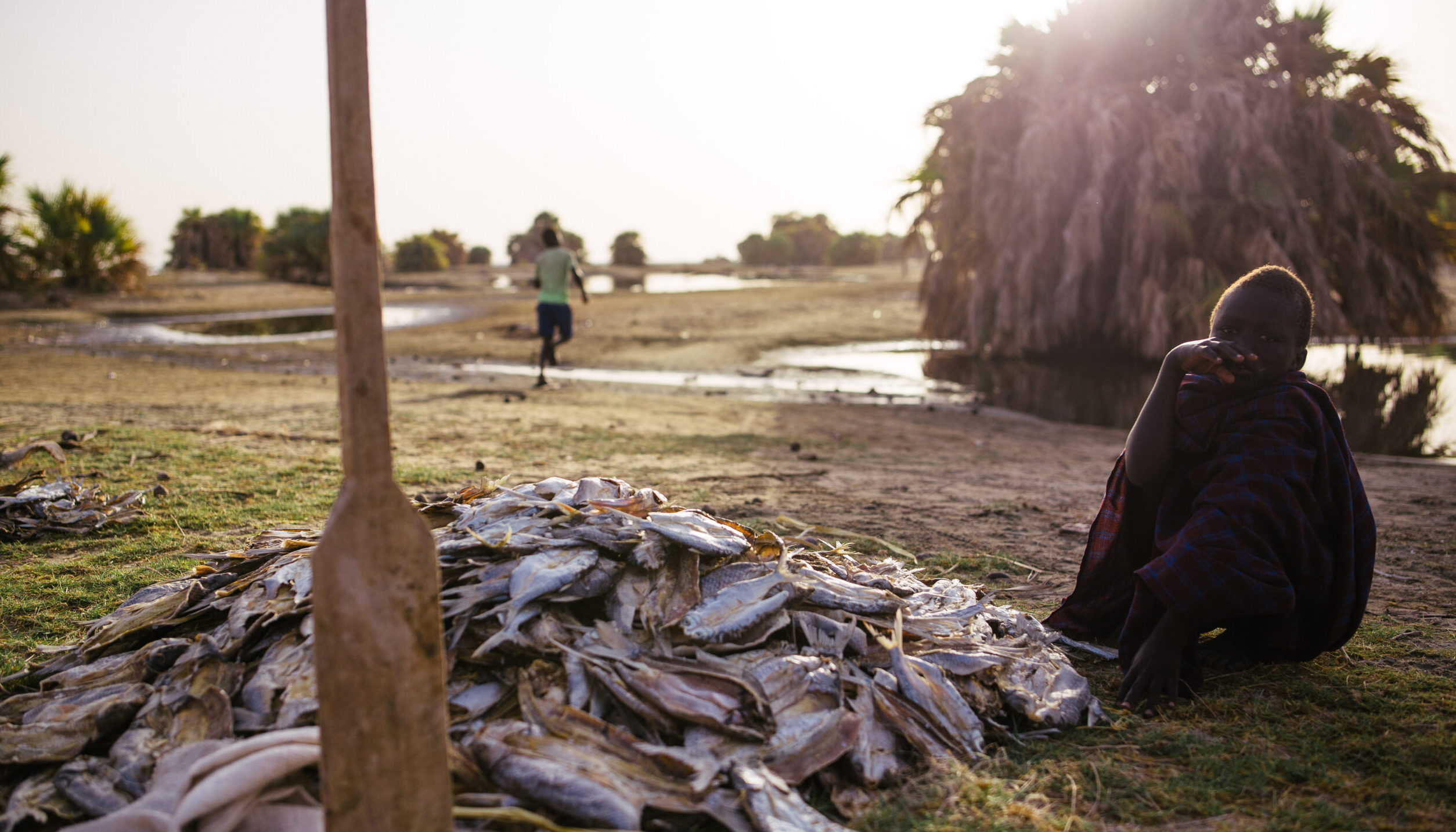 From Herders to Fishers: A Tale of Climate-Induced Livelihood ...