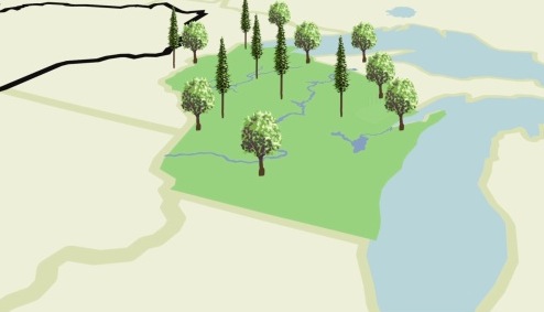 Paper Cuts: When the Loop Goes Global | Pulitzer Center