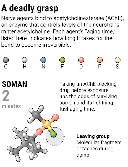 How to Defeat a Nerve Agent | Pulitzer Center