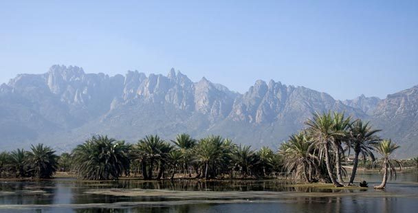 Haley Sweetland Edwards | Pulitzer Center