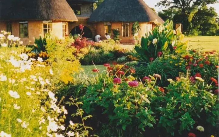 Why White Zimbabwean Farmer, Ben Freeth, Returned to His Farm Eight ...