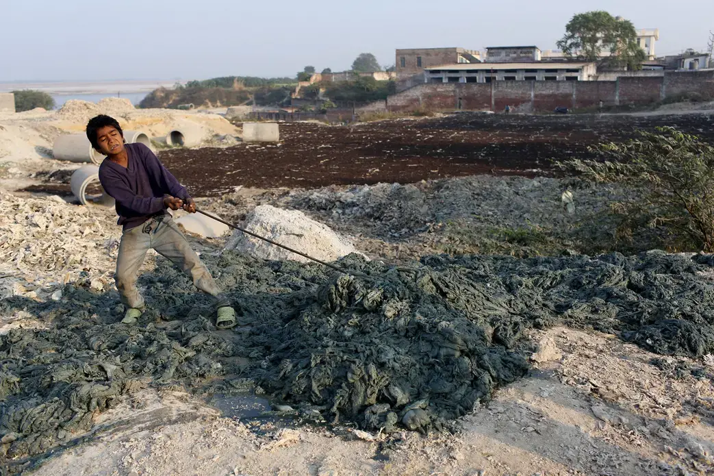 India: The Toxic Price of Leather | Pulitzer Center