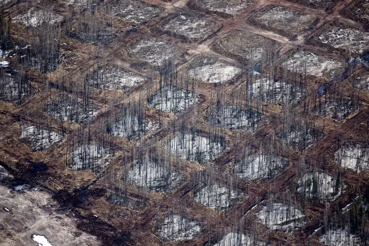 See the Devastated Landscape of the Alberta Tar Sands from 1,000 Feet ...