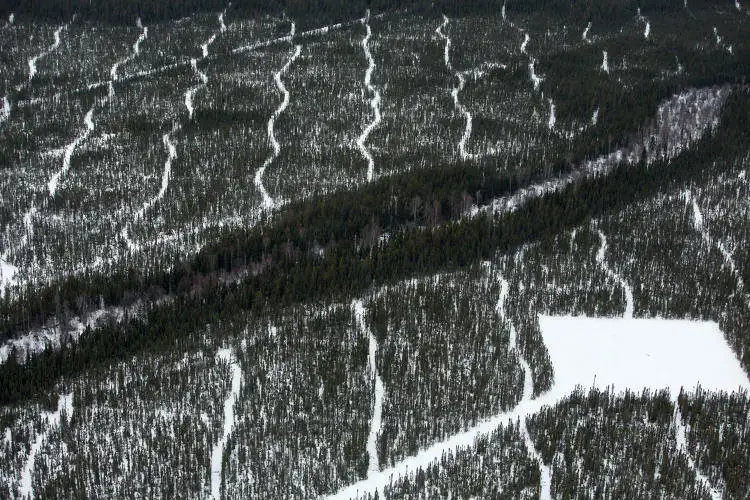 See the Devastated Landscape of the Alberta Tar Sands from 1,000 Feet ...