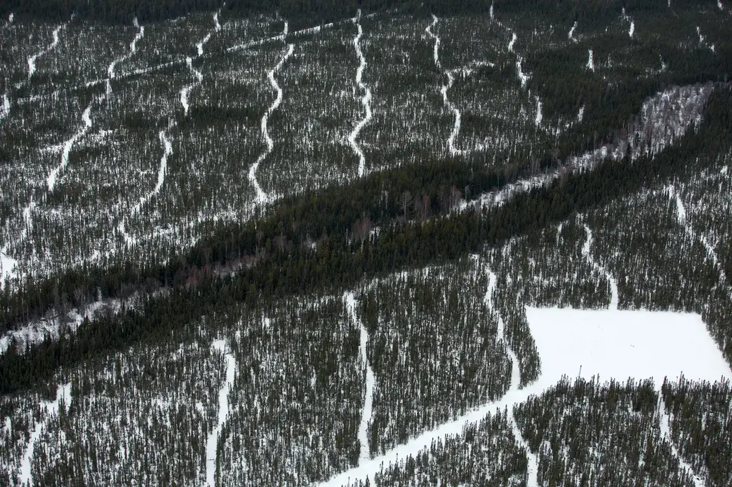 Photographer Captures Tar Sands "Destruction" from Above | Pulitzer Center
